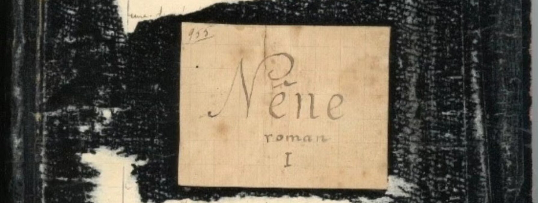 Actualité Ville de Niort : Acquisition du fonds littéraire d'Ernest ...